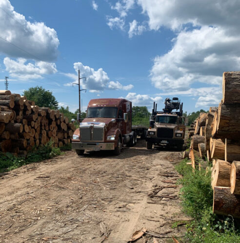 Whately Wood Products | A Forestry and Log Buying Company